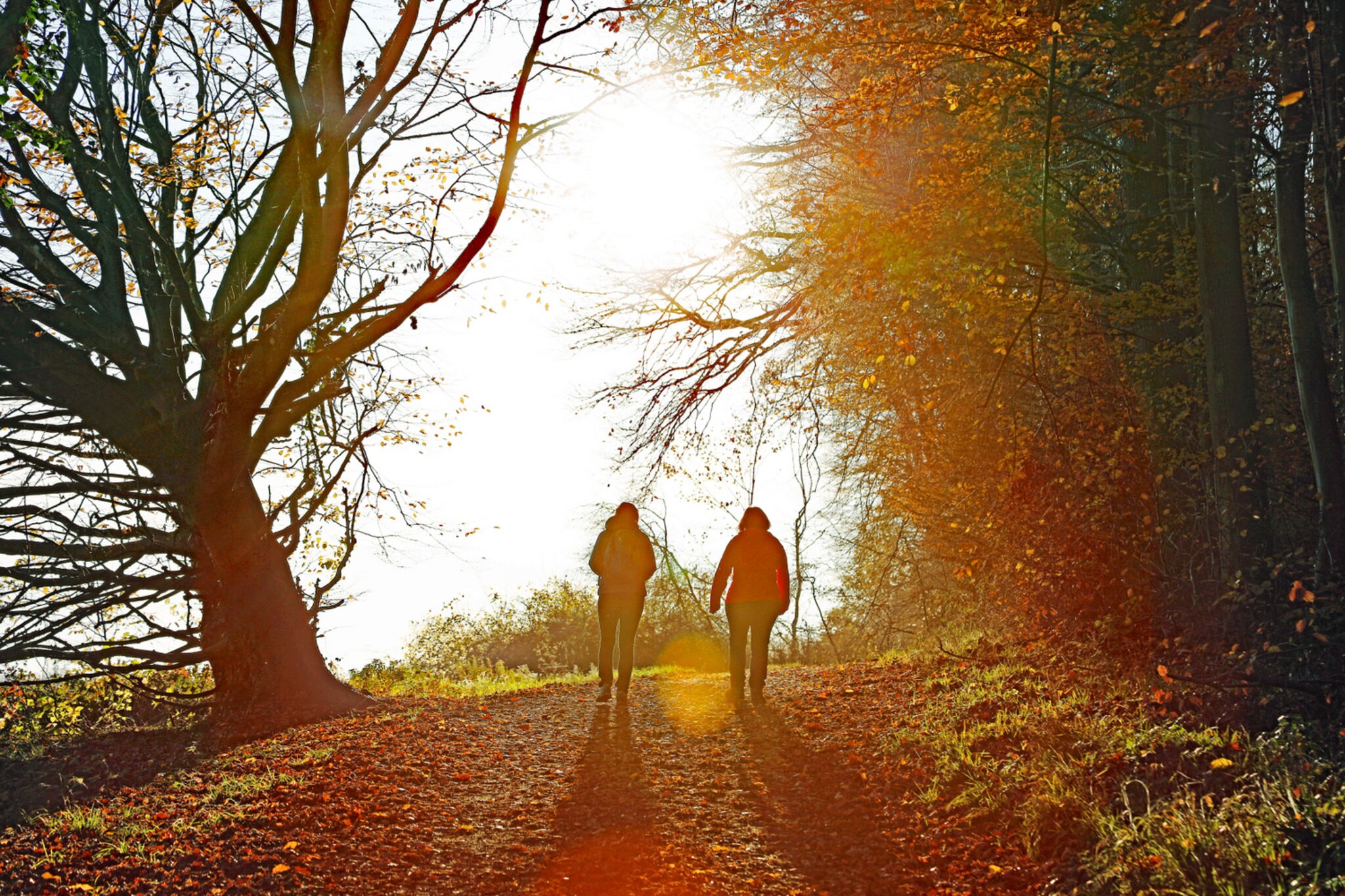 Der Sonne entgegen ...