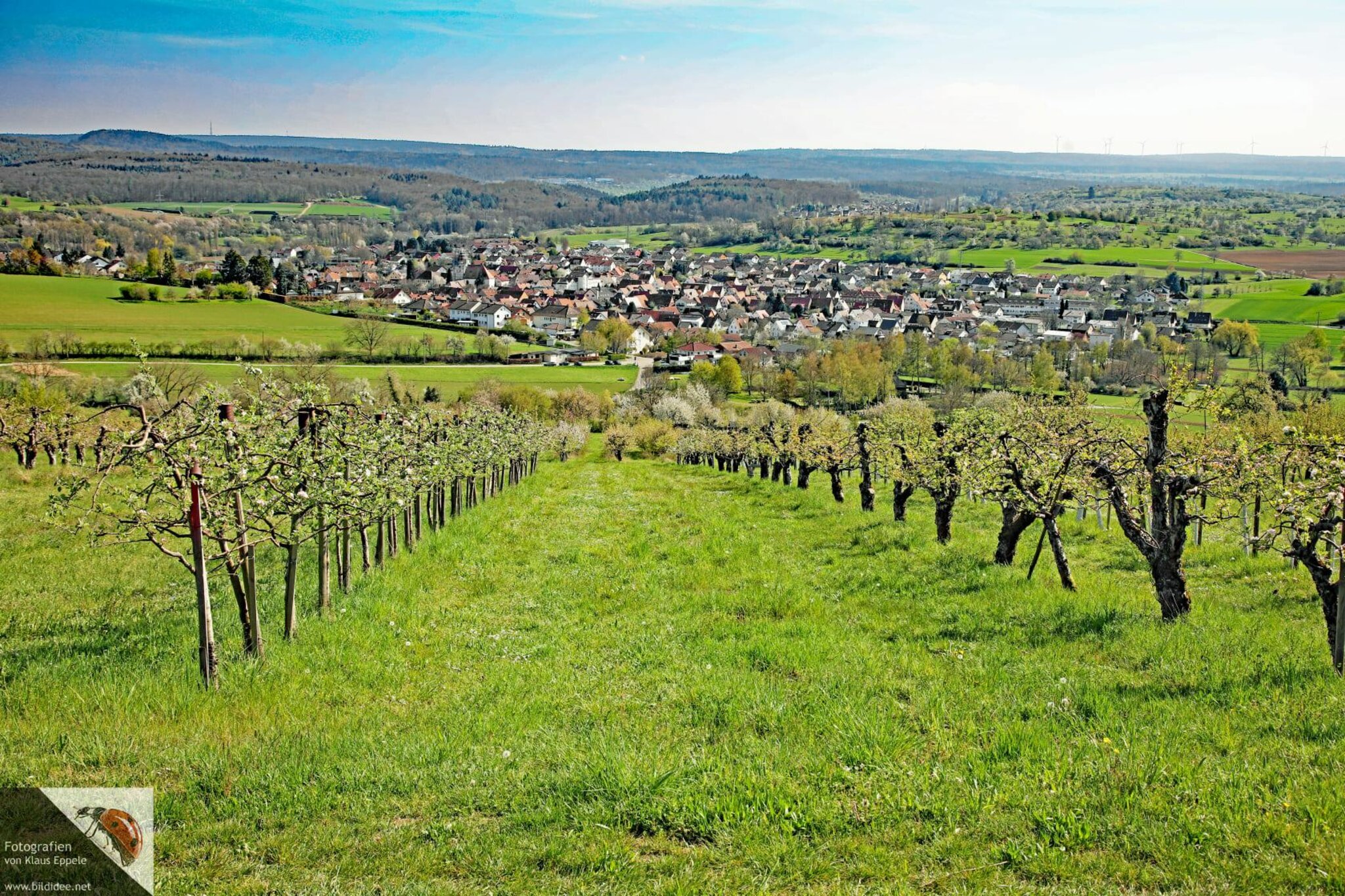 Blick auf Ellmendingen